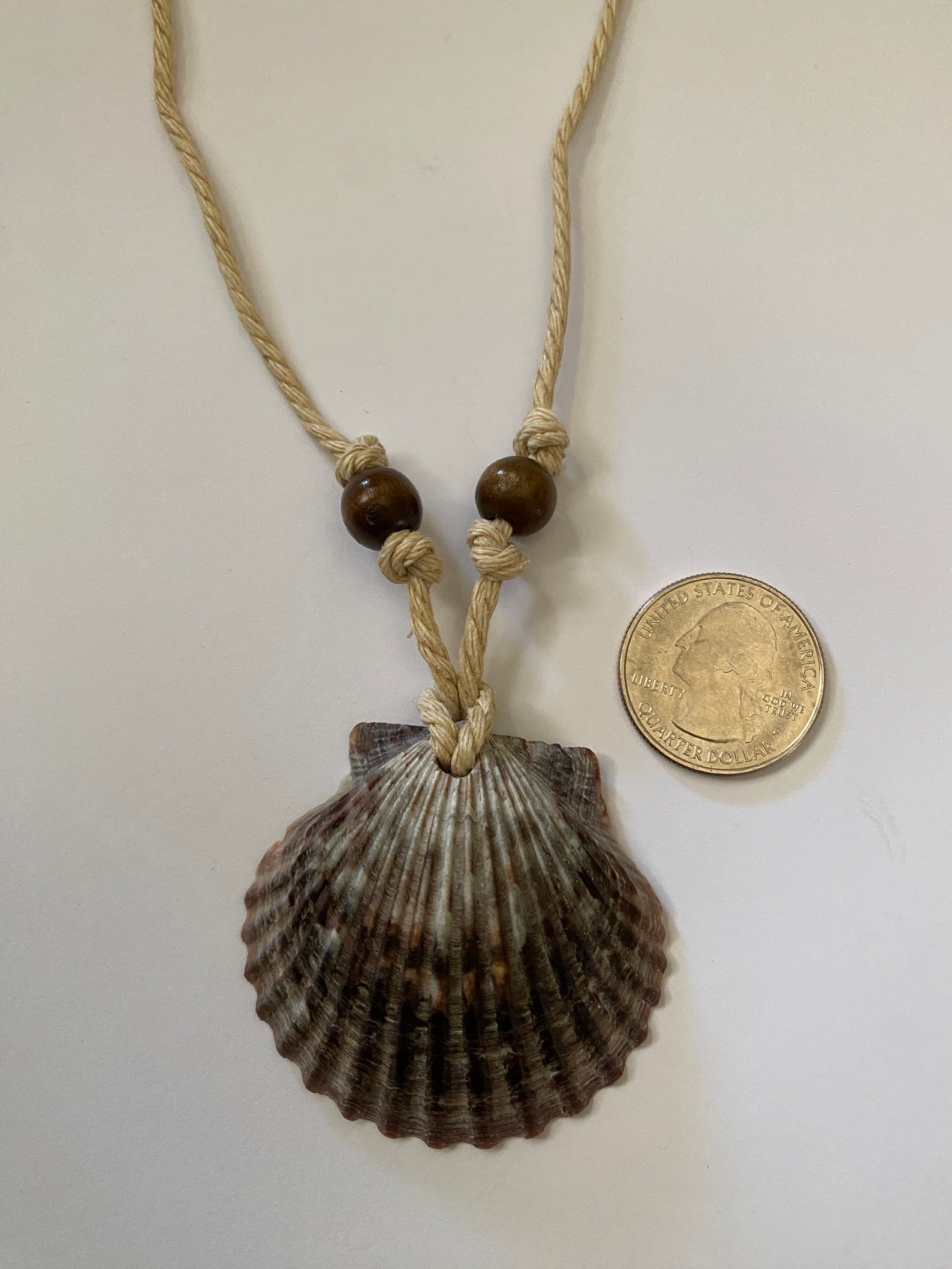 Sea Shell Necklace - Etsy