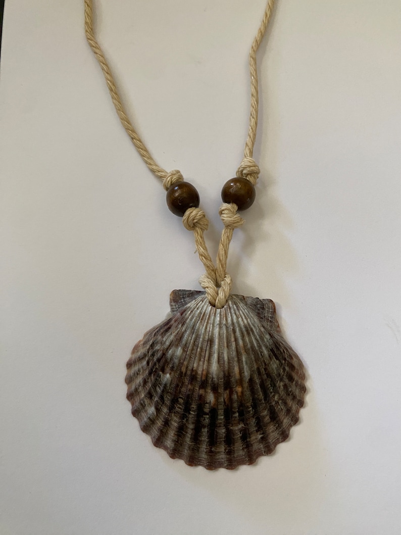 Sea Shell Necklace - Etsy