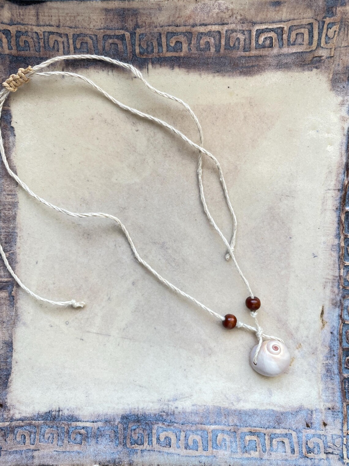 Moon Snail Shell Necklace - Etsy
