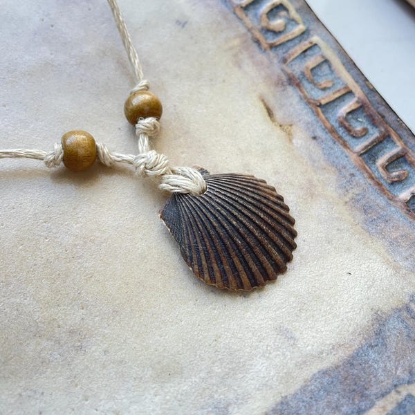 Scallop Shell Necklace - Etsy