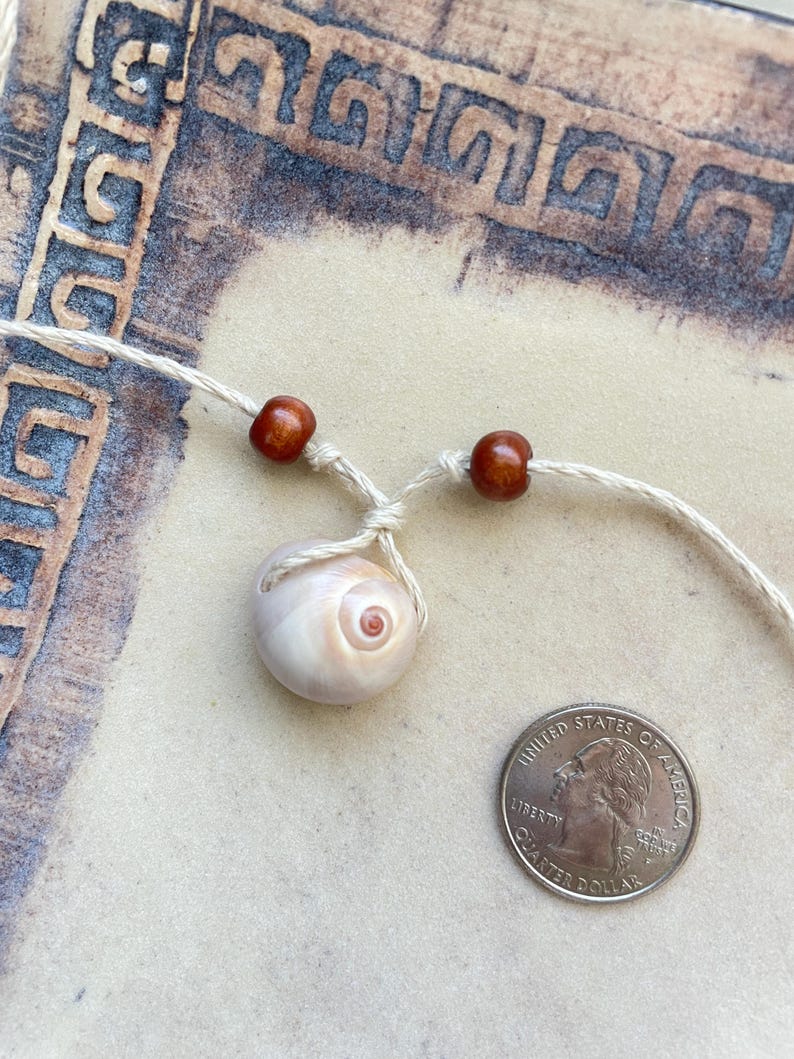 Moon Snail Shell Necklace - Etsy