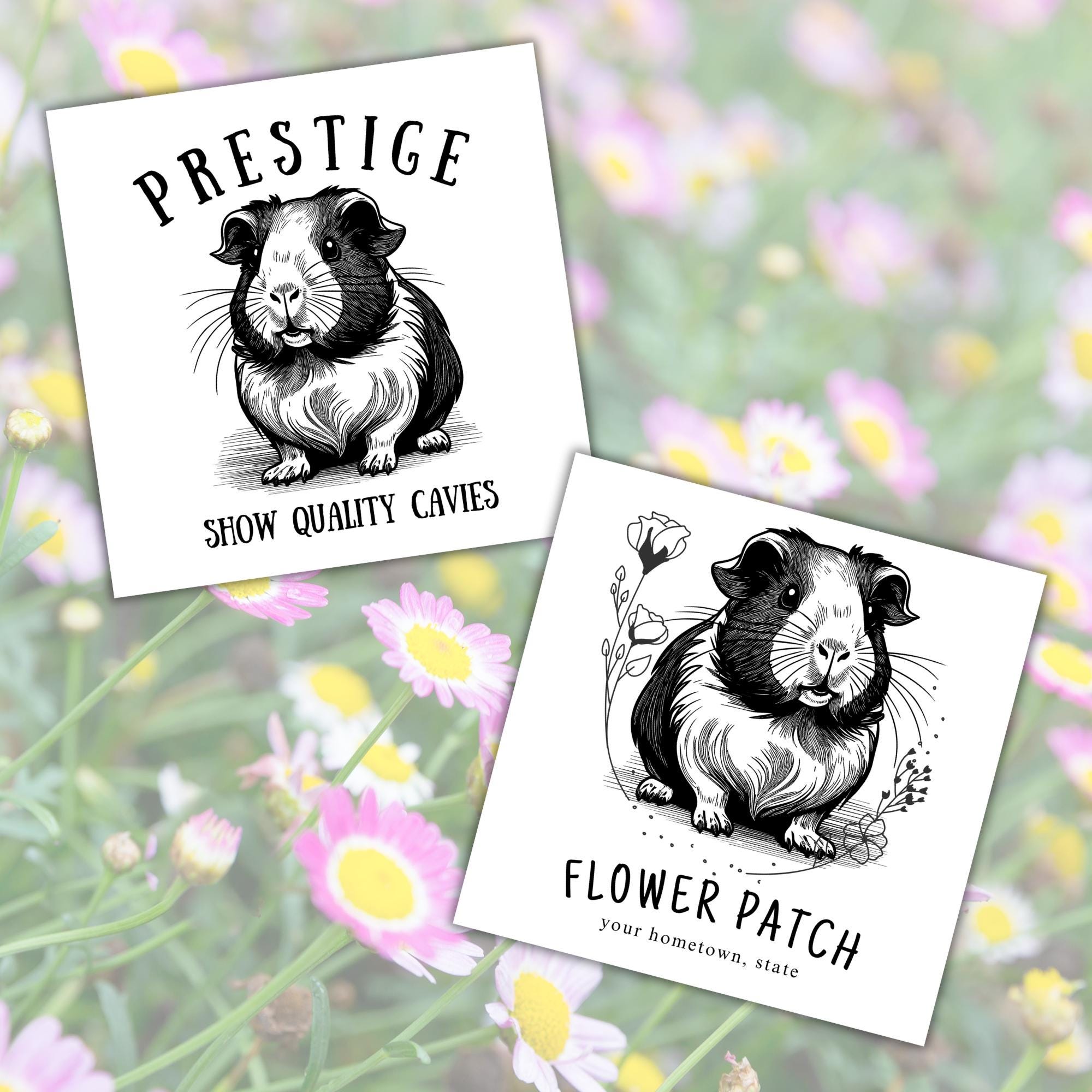 Custom DIY Canva Logo | Cavy Logo Template | Canva Template | Cavy PNG ...