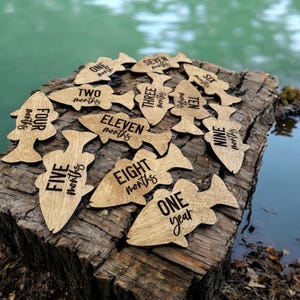 Fish Milestones, Fishing Baby Announcement, Newborn Milestones ...