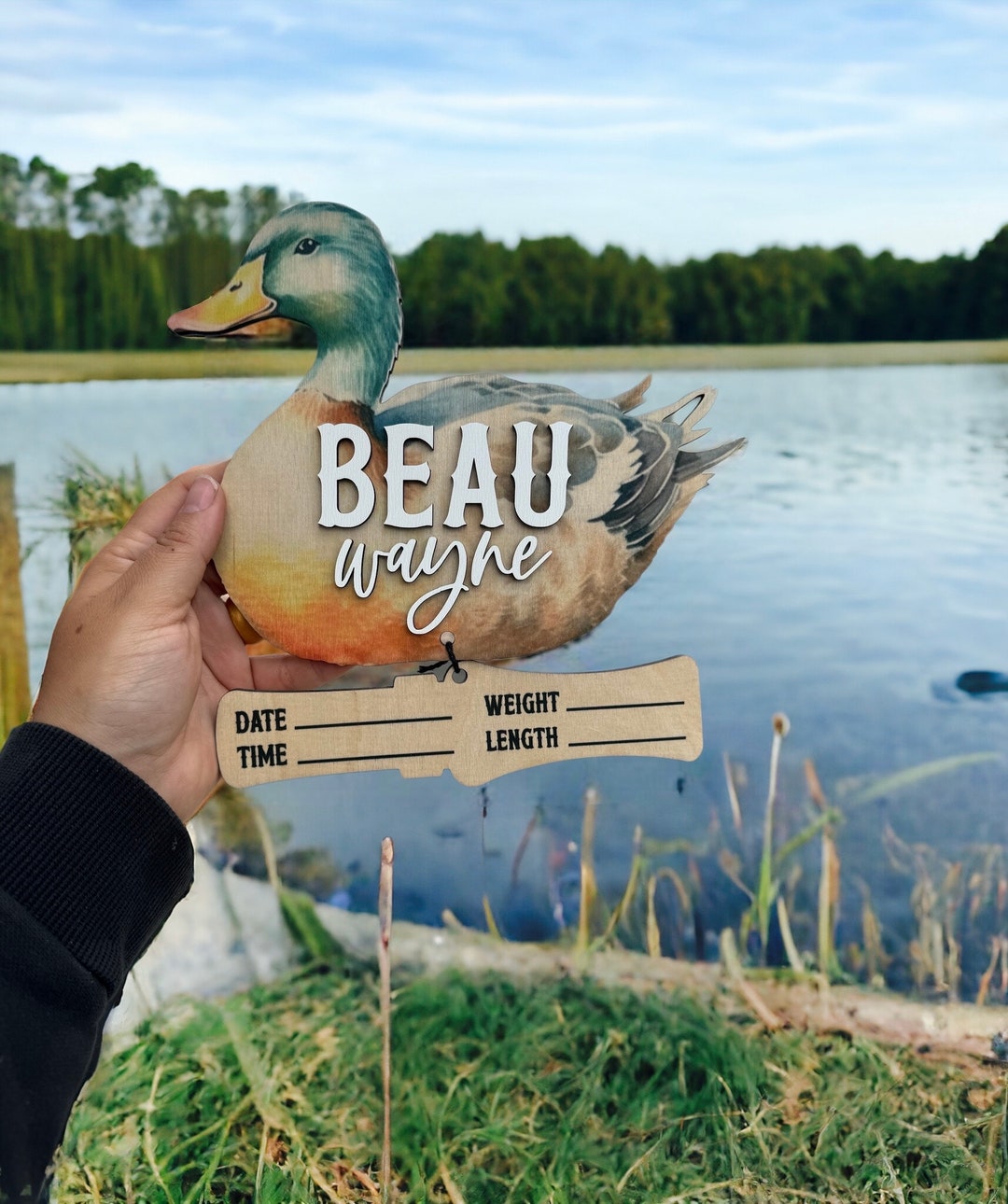 Birth Stats Sign, Baby Name Announcement Sign With Birth Stats, Newborn ...