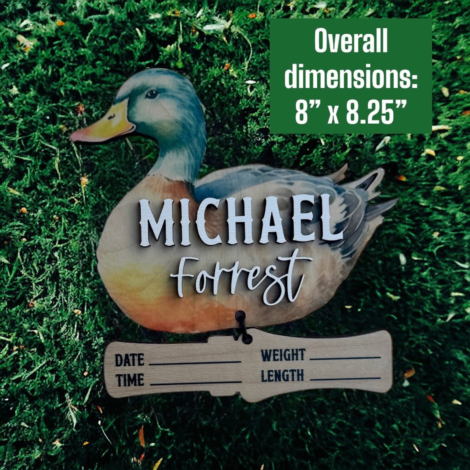 Birth Stats Sign, Baby Name Announcement Sign With Birth Stats, Newborn ...