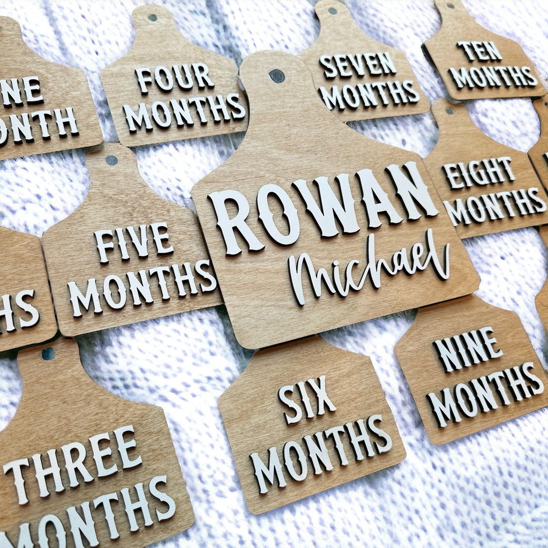 Baby Milestone Discs, Milestone Cards, Monthly Milestone, Baby Name ...