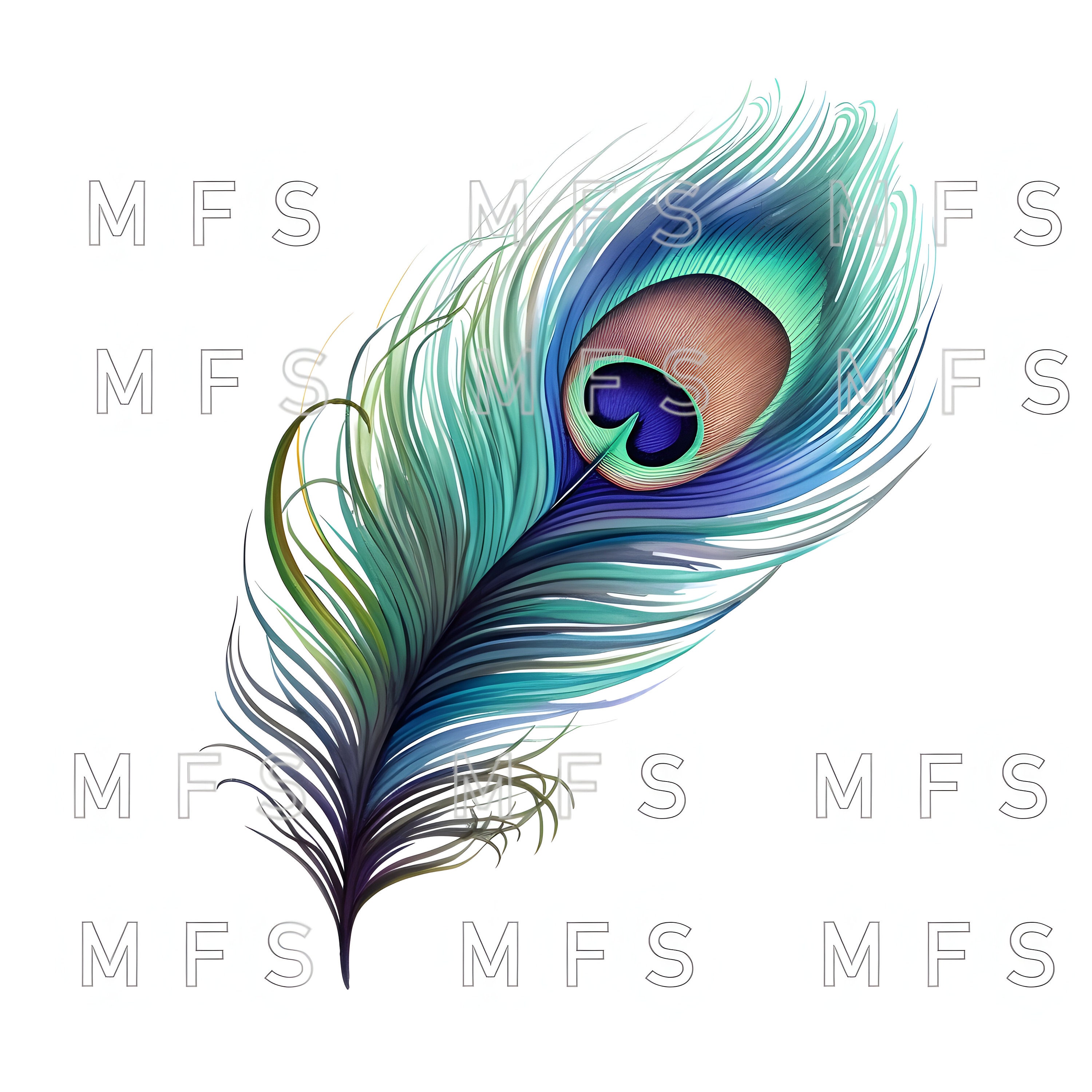 Watercolor Peacock Feather Clipart, 20 High Quality Jpgs, Instant ...