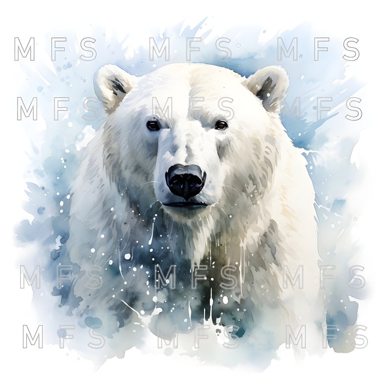 Watercolor Polar Bears Clipart, 20 High Quality Jpgs, Instant Digital ...