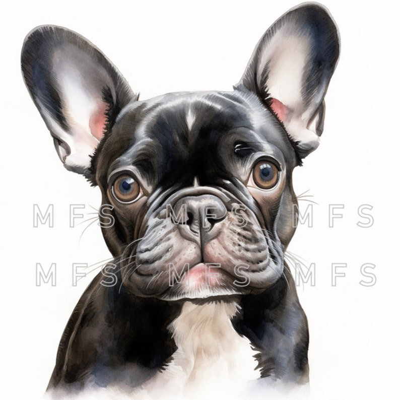 Watercolor French Bulldog Clipart, 20 High Quality Jpgs, Instant ...