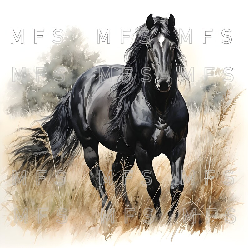 Watercolor Beautiful Black Horse Clipart, 20 High Quality Jpgs, Instant ...
