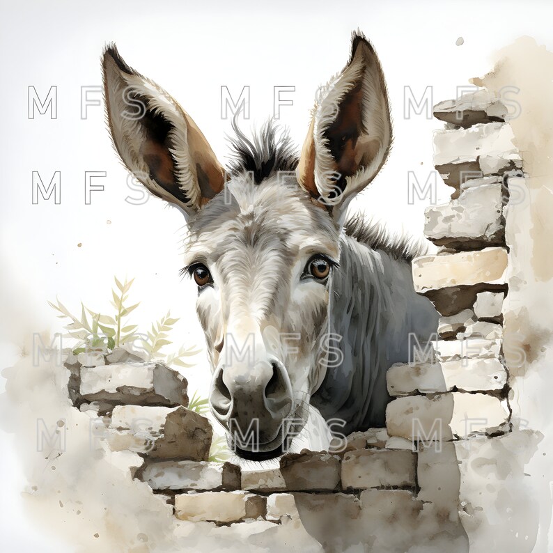Watercolor Donkey & Stone Wall Clipart, 20 High Quality Jpgs, Instant ...