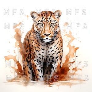 Watercolor Ferocious Leopard Clipart, 20 High Quality Jpgs, Instant ...