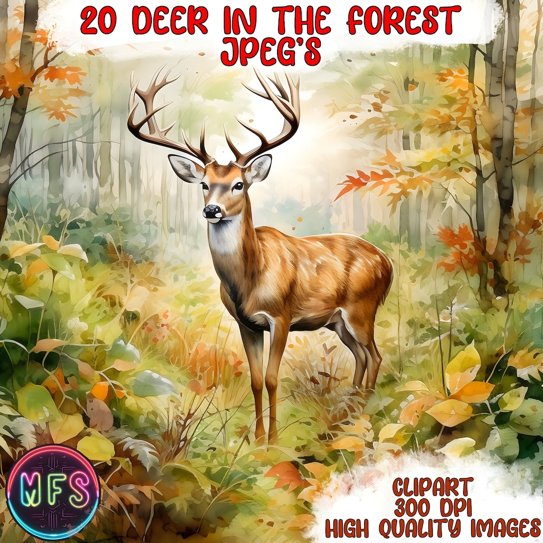 Watercolor Deer in the Forest Clipart, 20 High Quality Jpgs, Instant ...
