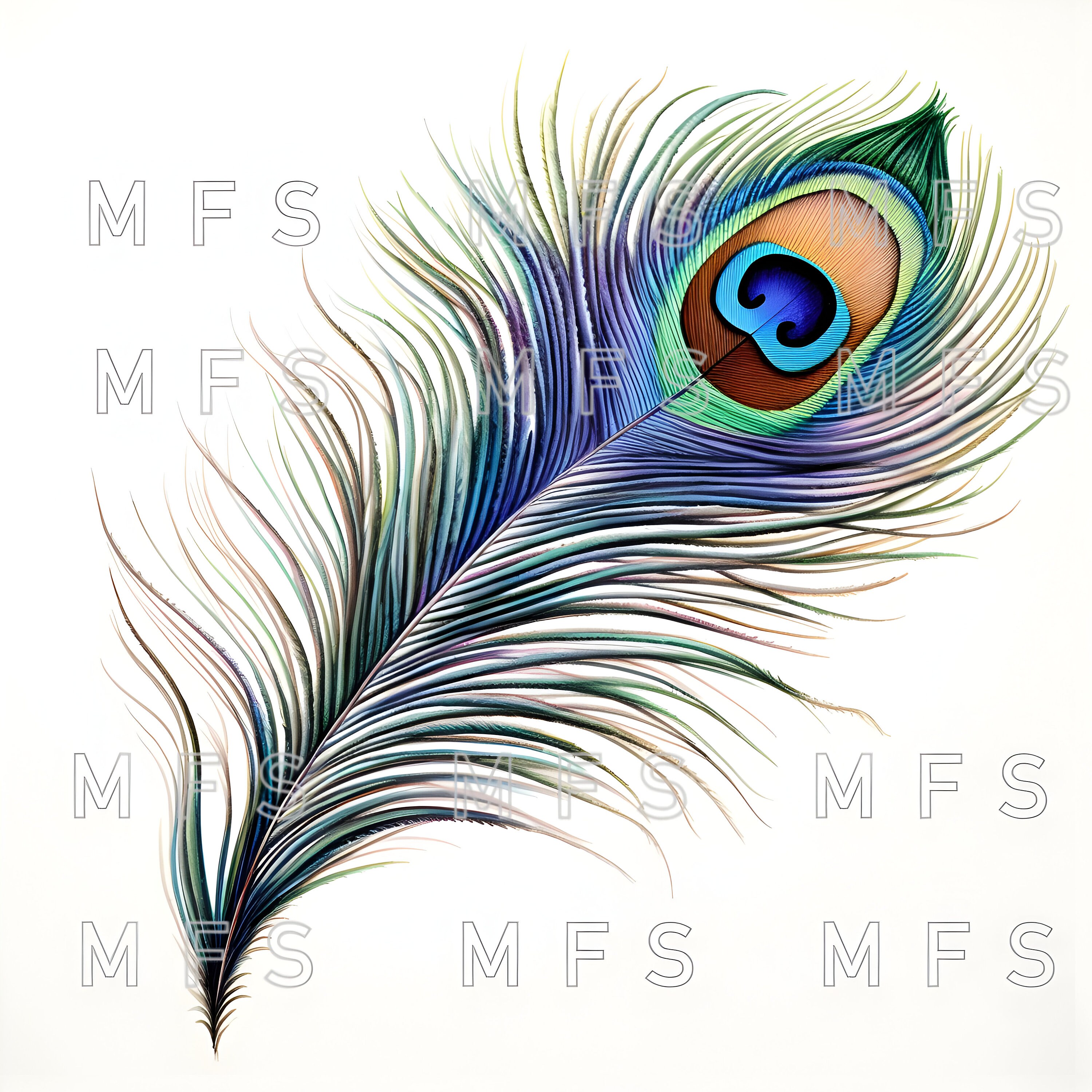 Watercolor Peacock Feather Clipart, 20 High Quality Jpgs, Instant ...