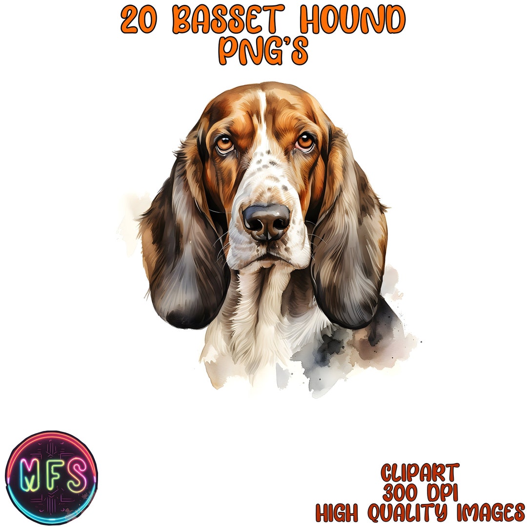 Watercolor Basset Hound Dog Clipart, 20 High Quality Pngs, Instant ...