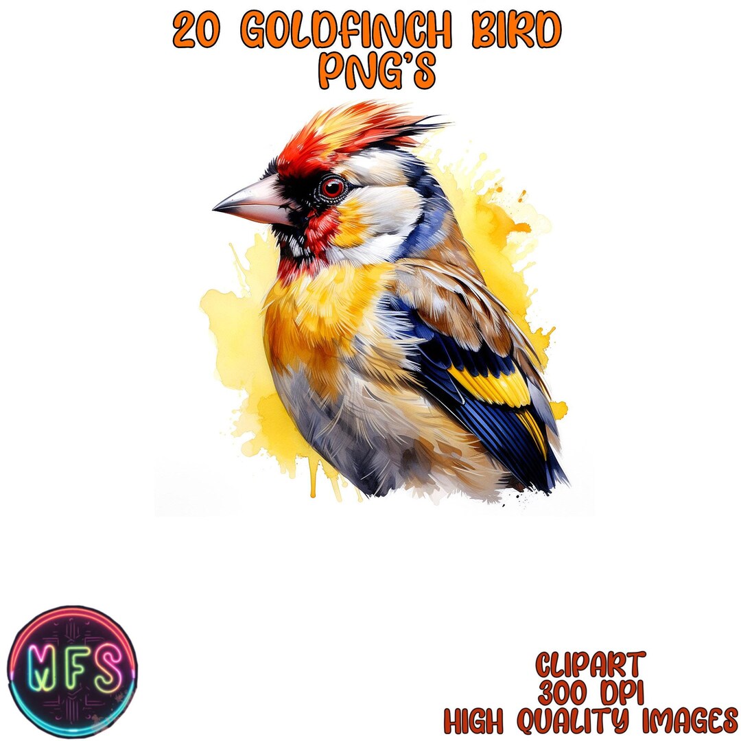 Watercolor Goldfinch Bird Clipart, 20 High Quality Png's, Instant ...