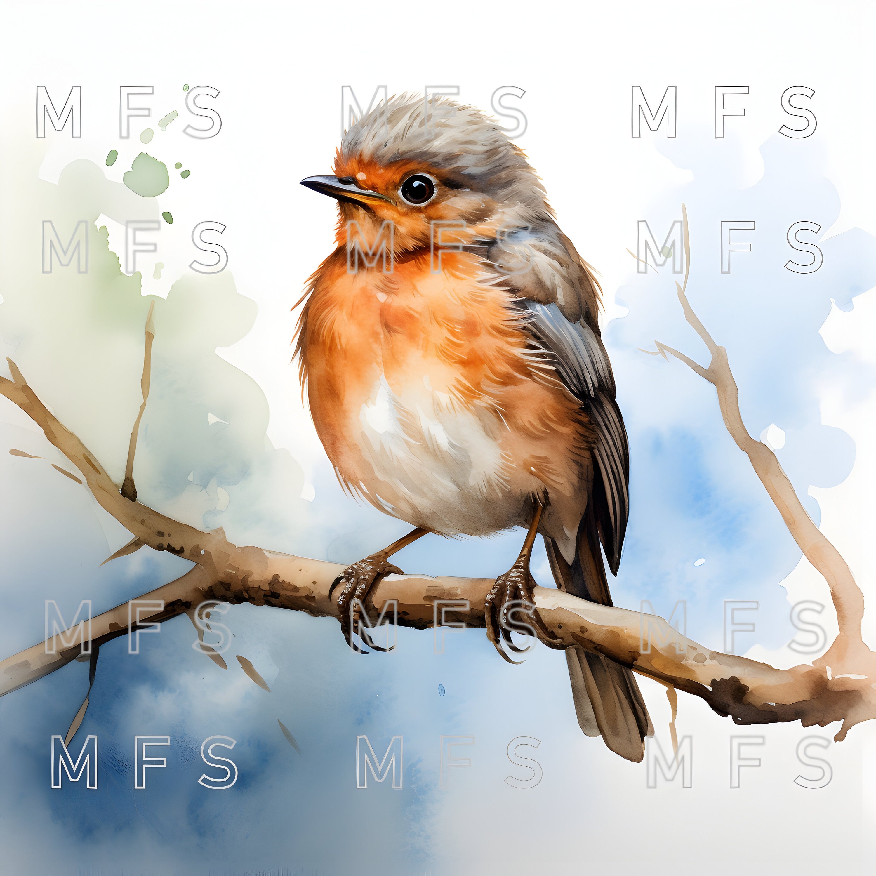 Watercolor Fluffy Baby Robin 20 High Quality Jpg's - Etsy