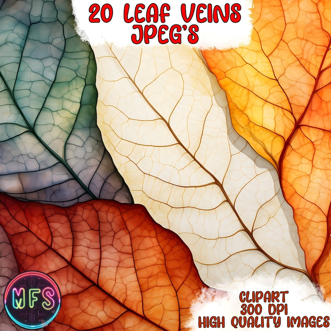 Watercolor Leaf Veins Clipart, 20 High Quality Jpgs, Instant Digital ...