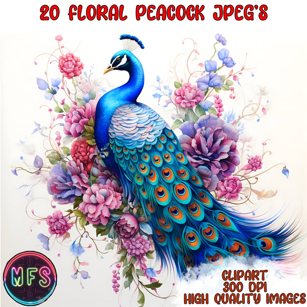 Watercolor Floral Peacock Clipart, 20 High Quality Jpgs, Instant ...
