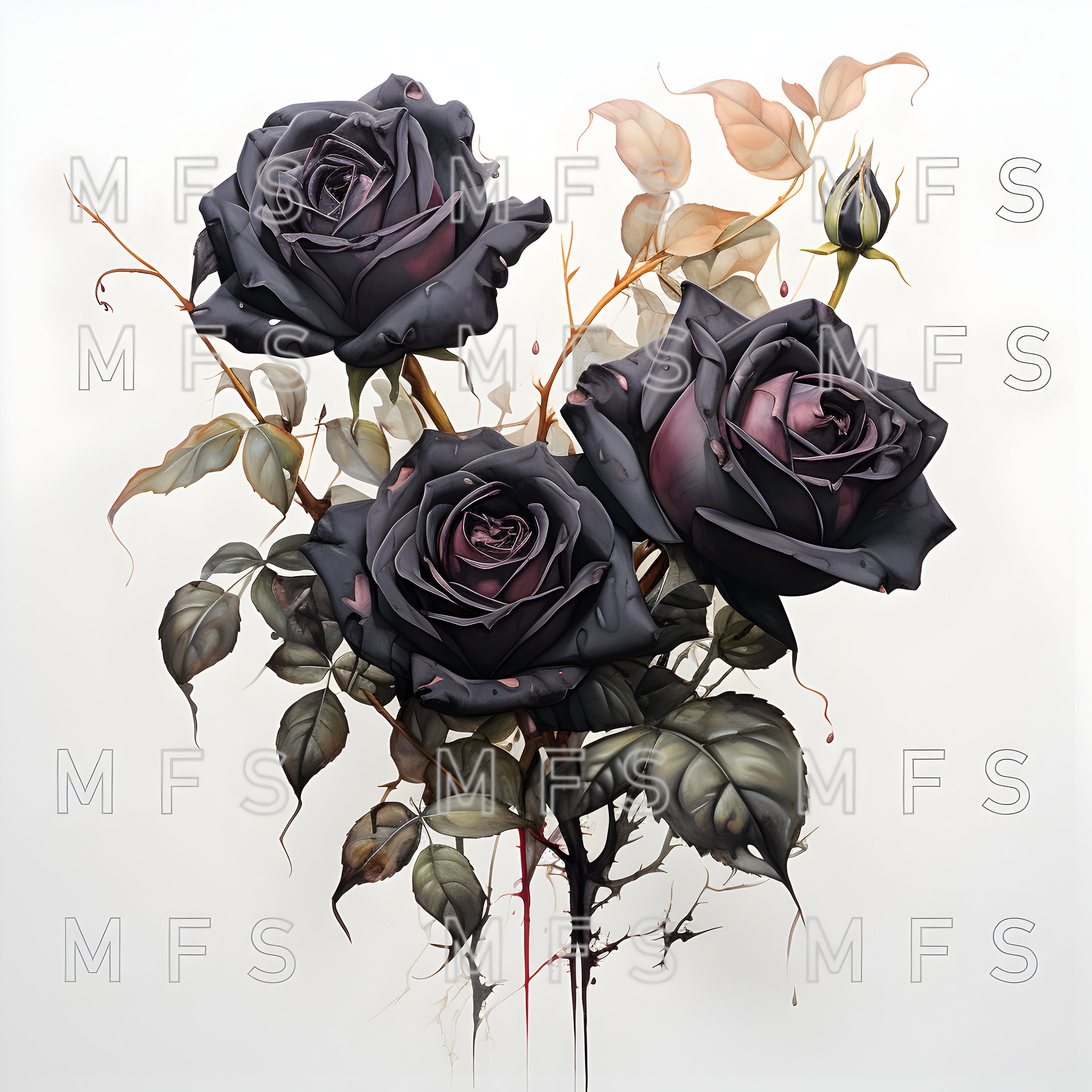 Watercolor Black Roses Clipart, 20 High Quality Jpgs, Instant Digital ...