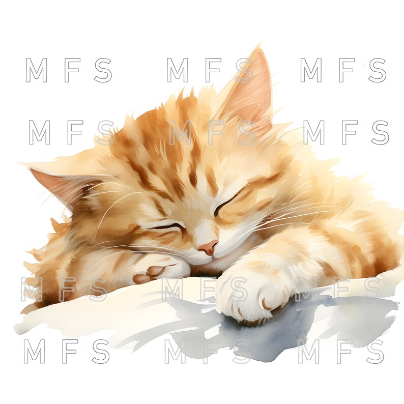 Watercolor Sleeping Cats Clipart, 20 High Quality Pngs, Instant Digital ...