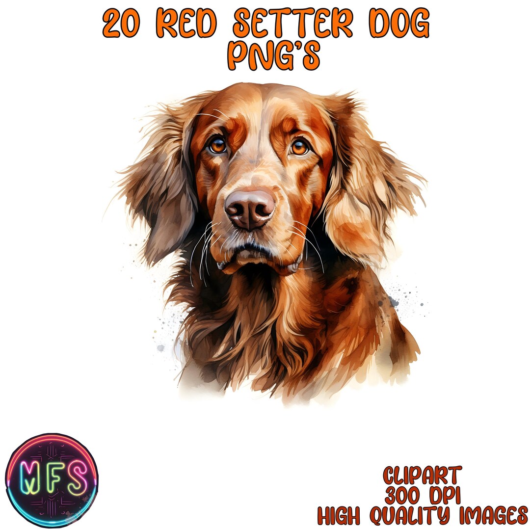 Watercolor Red Setter Dog Clipart, 20 High Quality PNG, Instant Digital ...
