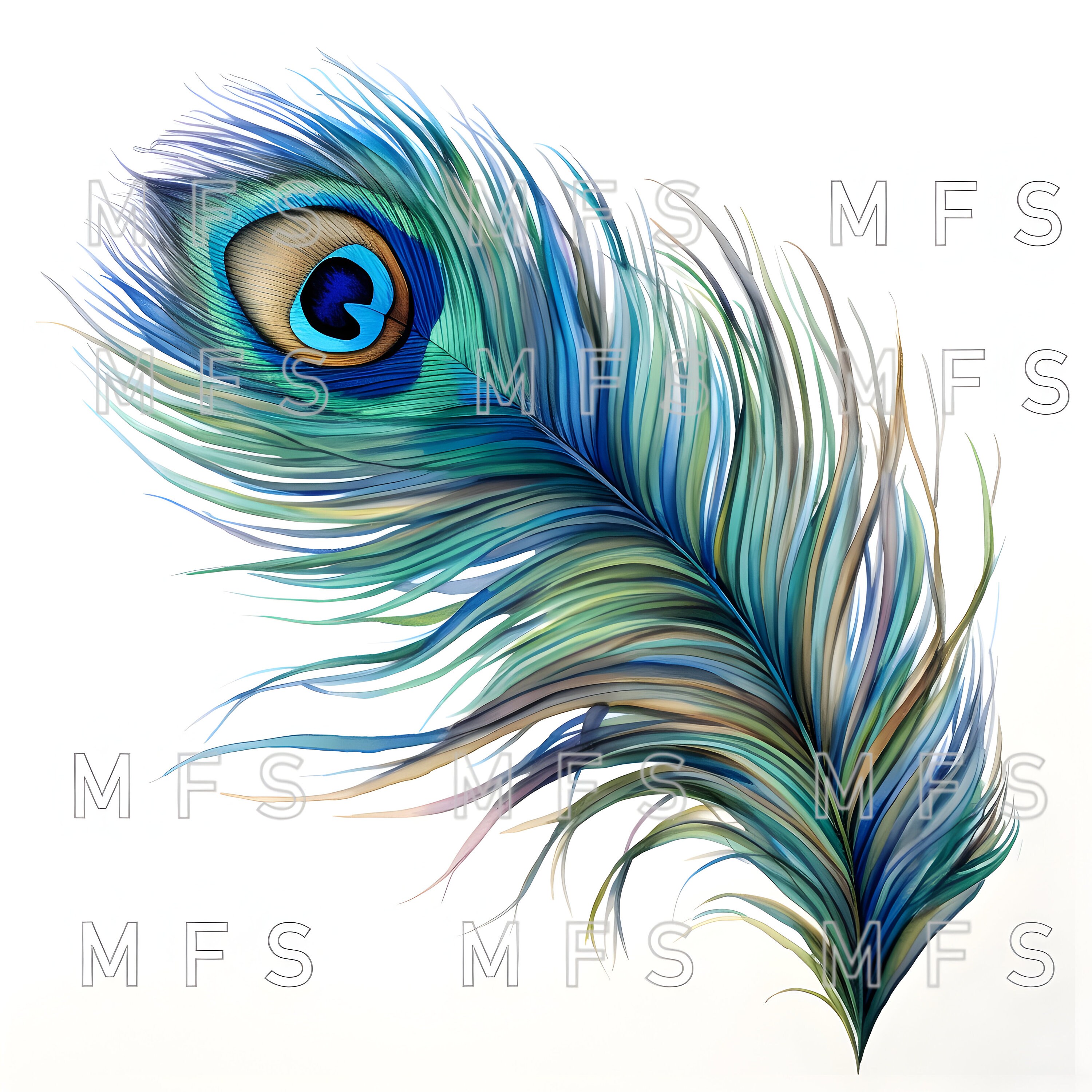 Watercolor Peacock Feather Clipart, 20 High Quality Jpgs, Instant ...