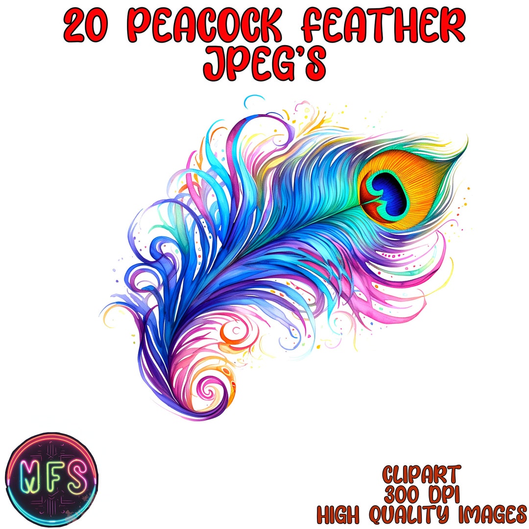 Watercolor Peacock Feather Clipart, 20 High Quality Jpgs, Instant ...