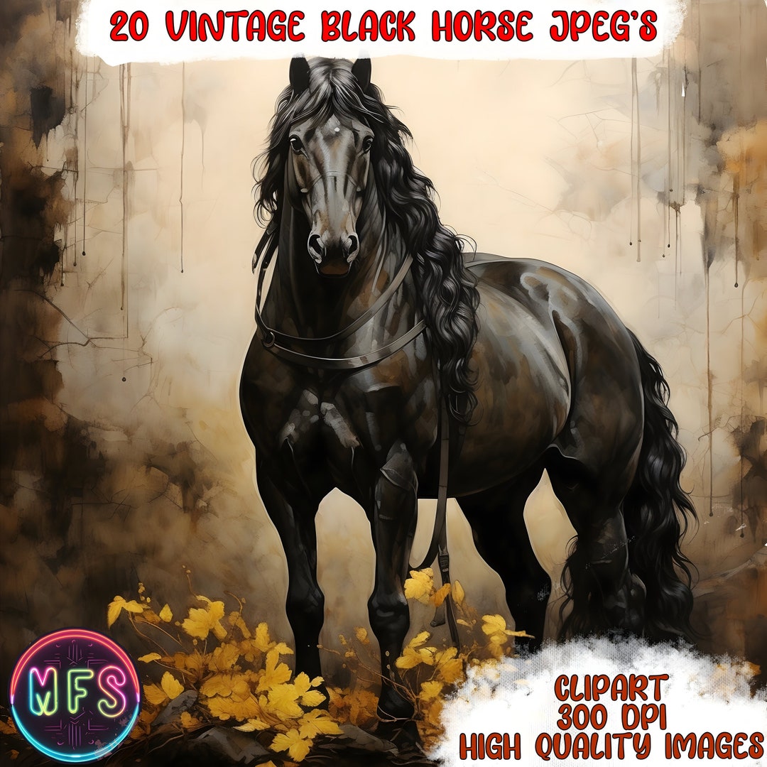 Watercolor Vintage Black Horse Clipart 20 High Quality Jpgs - Etsy