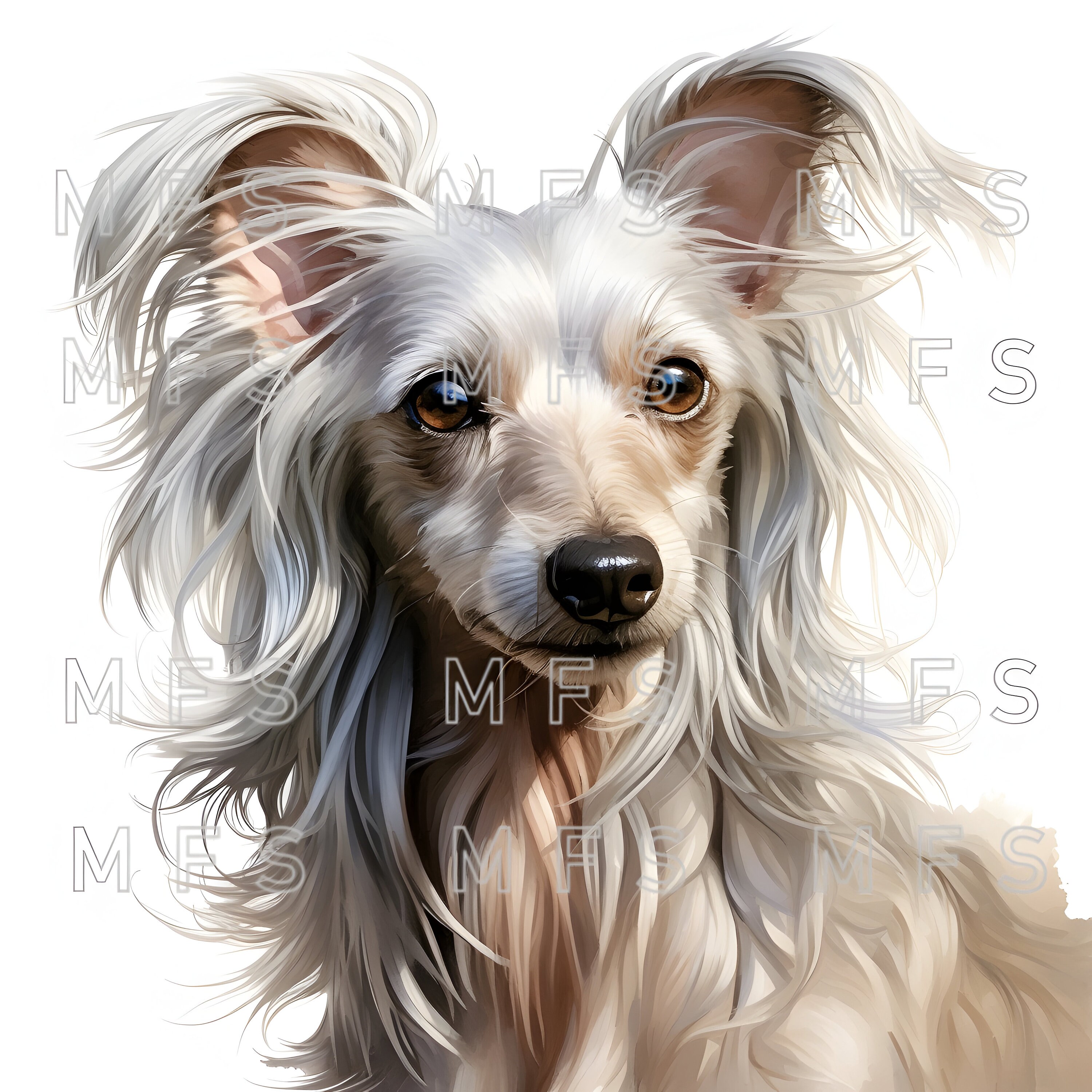 Watercolor Chinese Crested Dog Clipart, 20 High Quality Jpgs, Instant ...