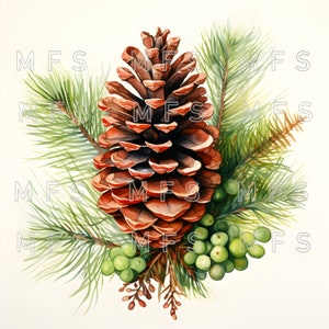 Watercolor Christmas Fir Cone Clipart, 20 High Quality JPG, Instant ...
