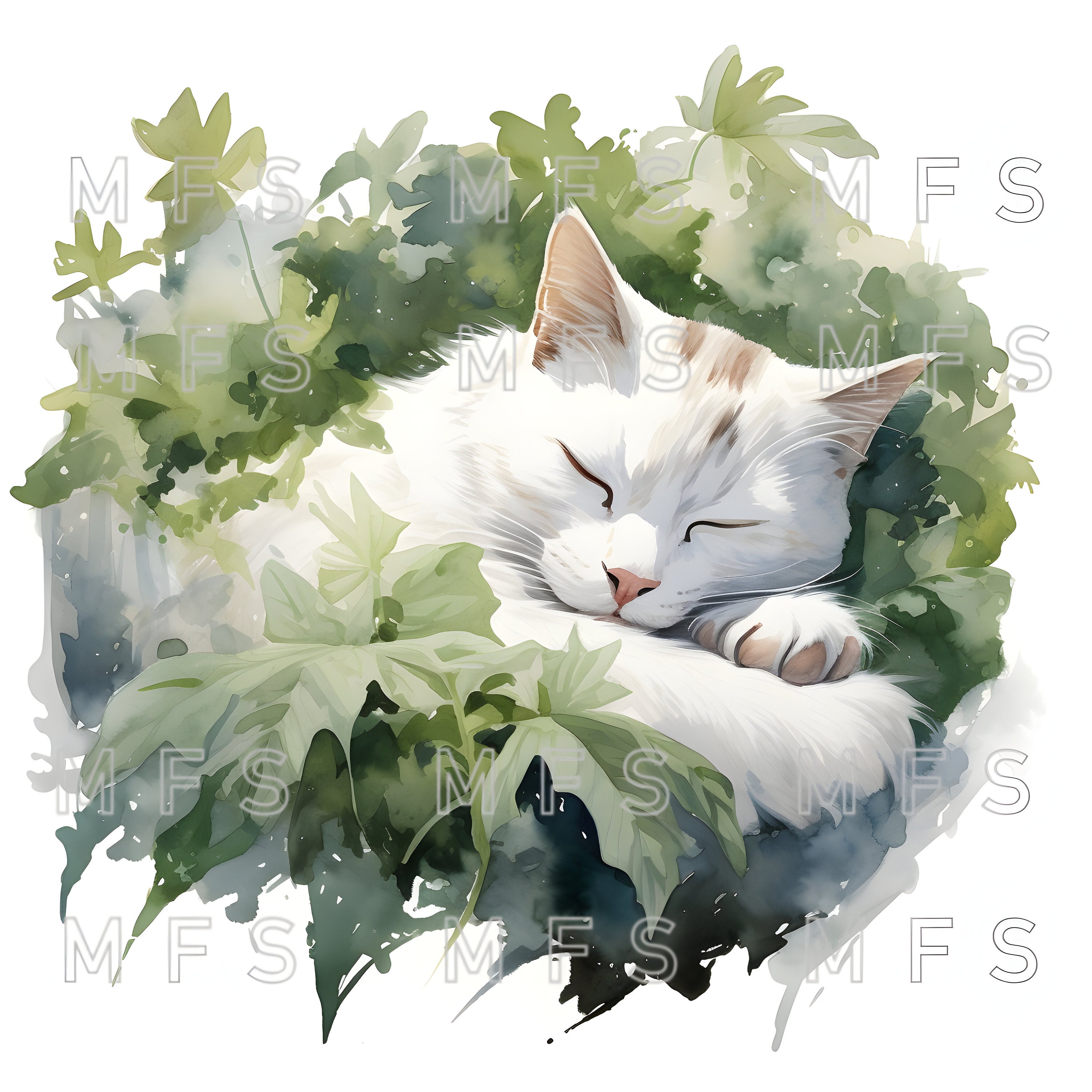 Watercolor Sleeping Cats Clipart, 20 High Quality Jpgs, Instant Digital ...