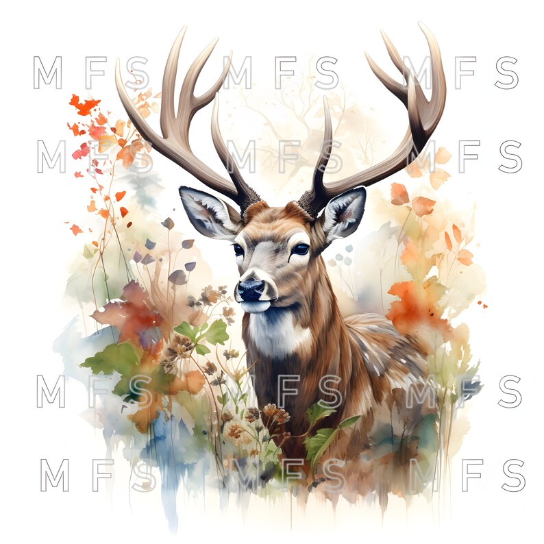 Watercolor Deer in the Forest Clipart, 20 High Quality Jpgs, Instant ...