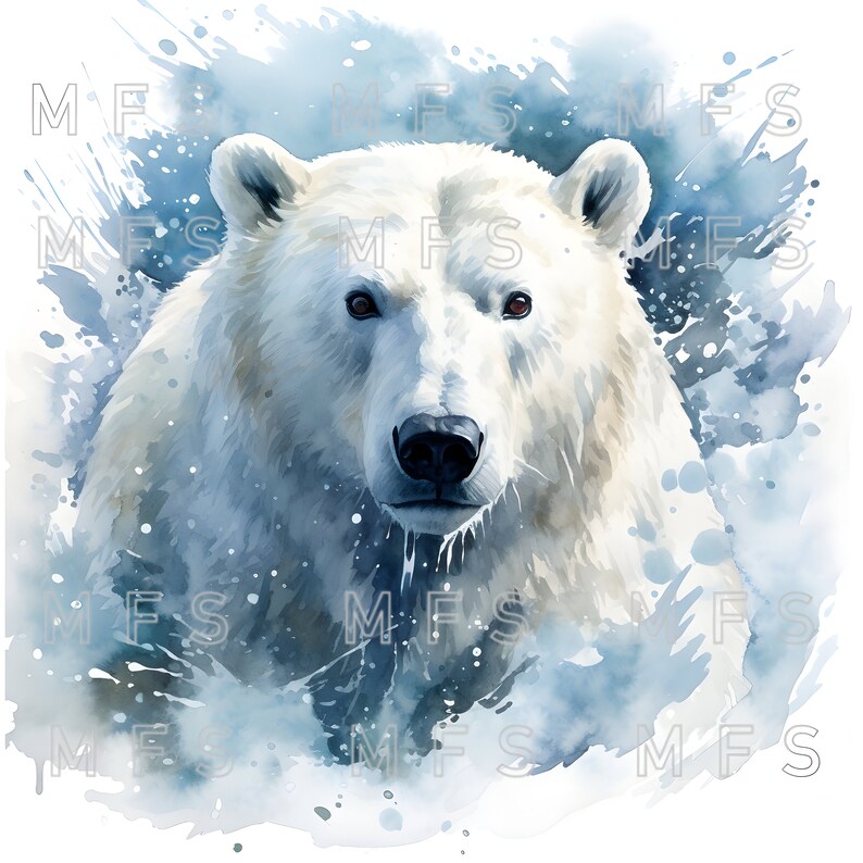 Watercolor Polar Bears Clipart, 20 High Quality Jpgs, Instant Digital ...