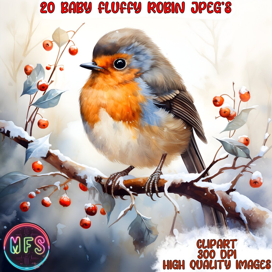 Watercolor Fluffy Baby Robin, 20 High Quality Jpg's Instant Digital ...