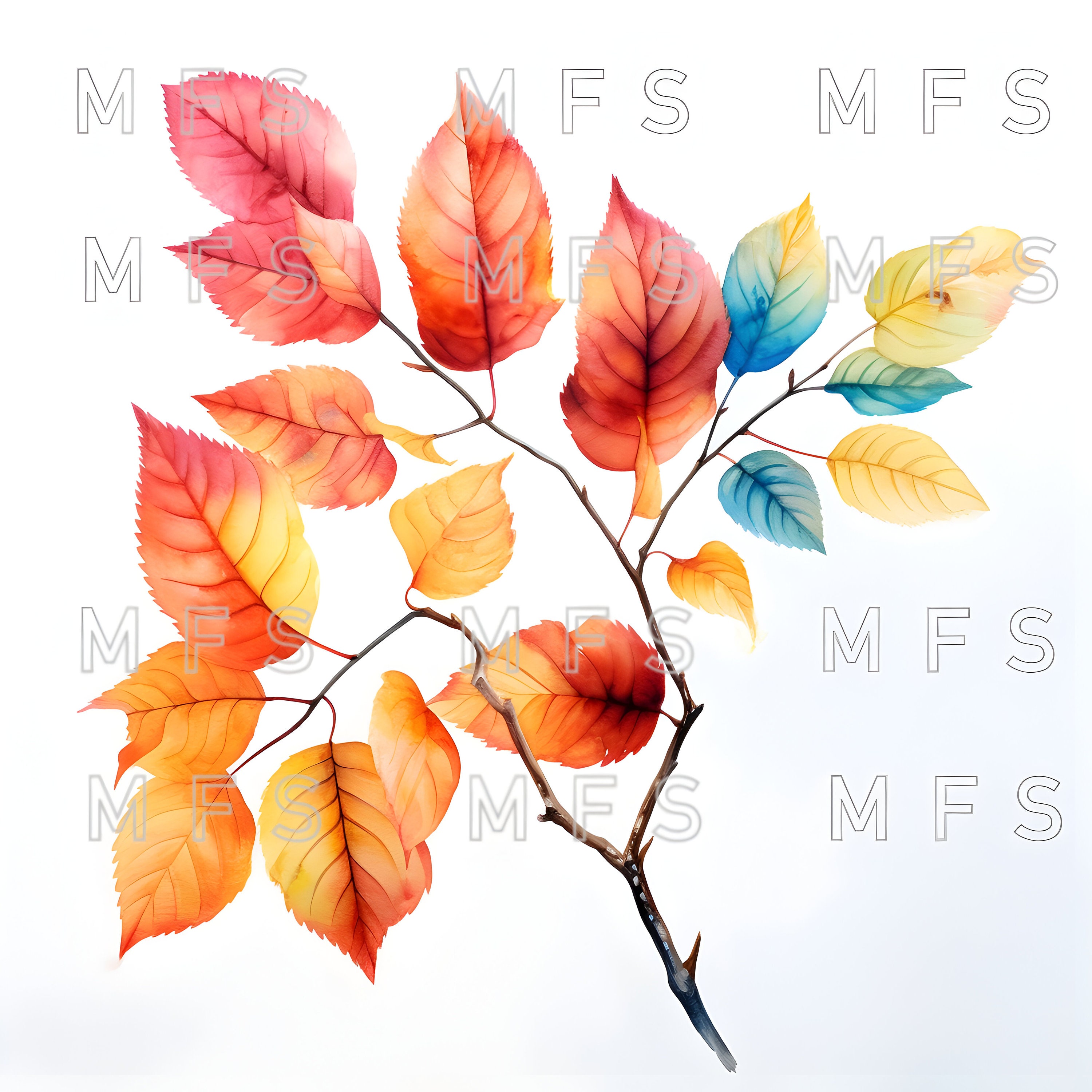 Watercolor Autumn Tree Branch Clipart 20 High Quality - Etsy