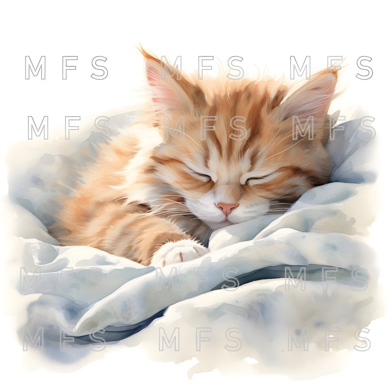 Watercolor Sleeping Cats Clipart, 20 High Quality Jpgs, Instant Digital ...