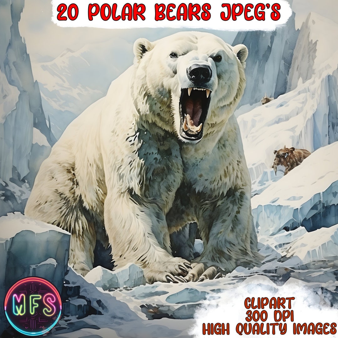 Watercolor Polar Bears Clipart, 20 High Quality Jpgs, Instant Digital ...