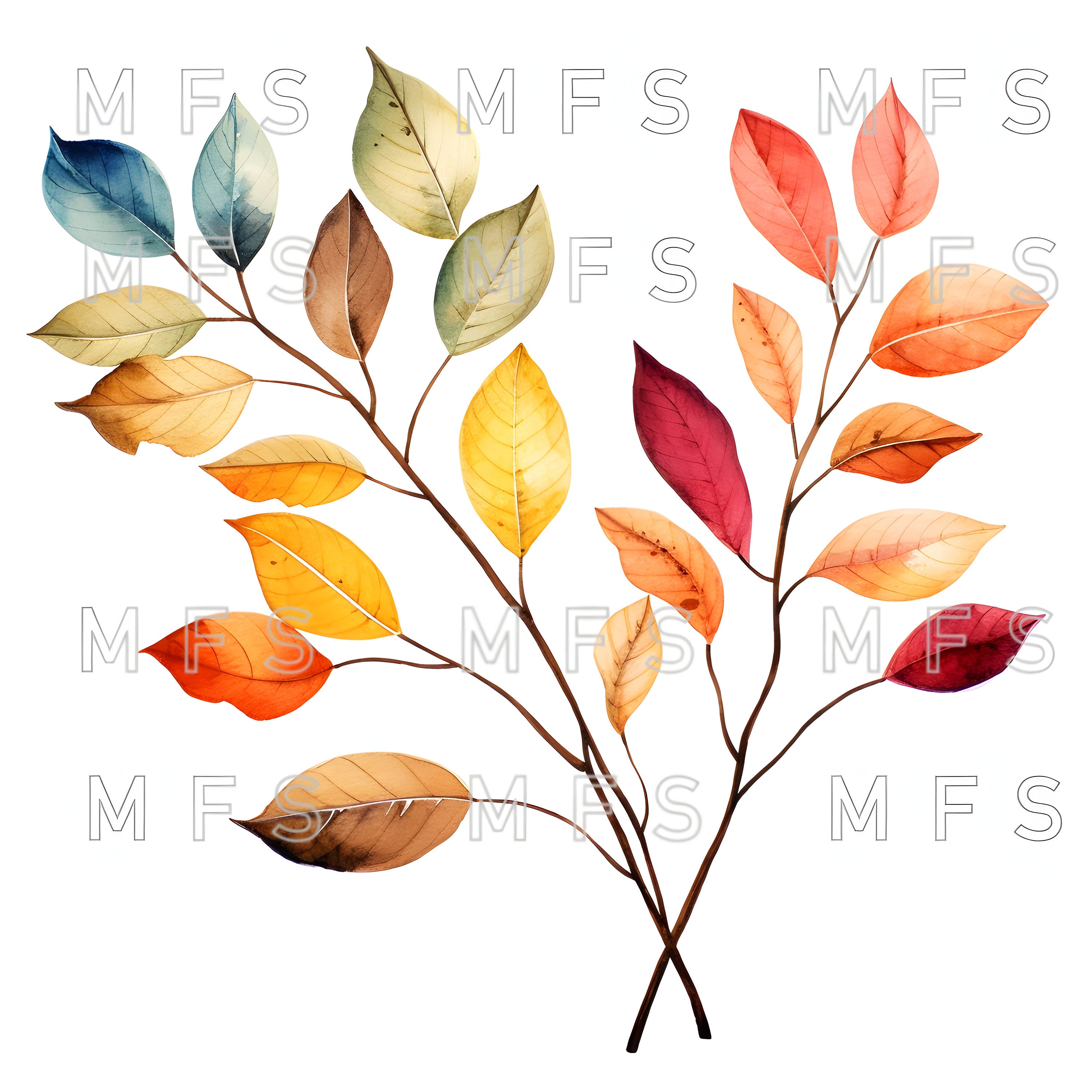 Watercolor Autumn Tree Branch Clipart 20 High Quality Jpgs - Etsy