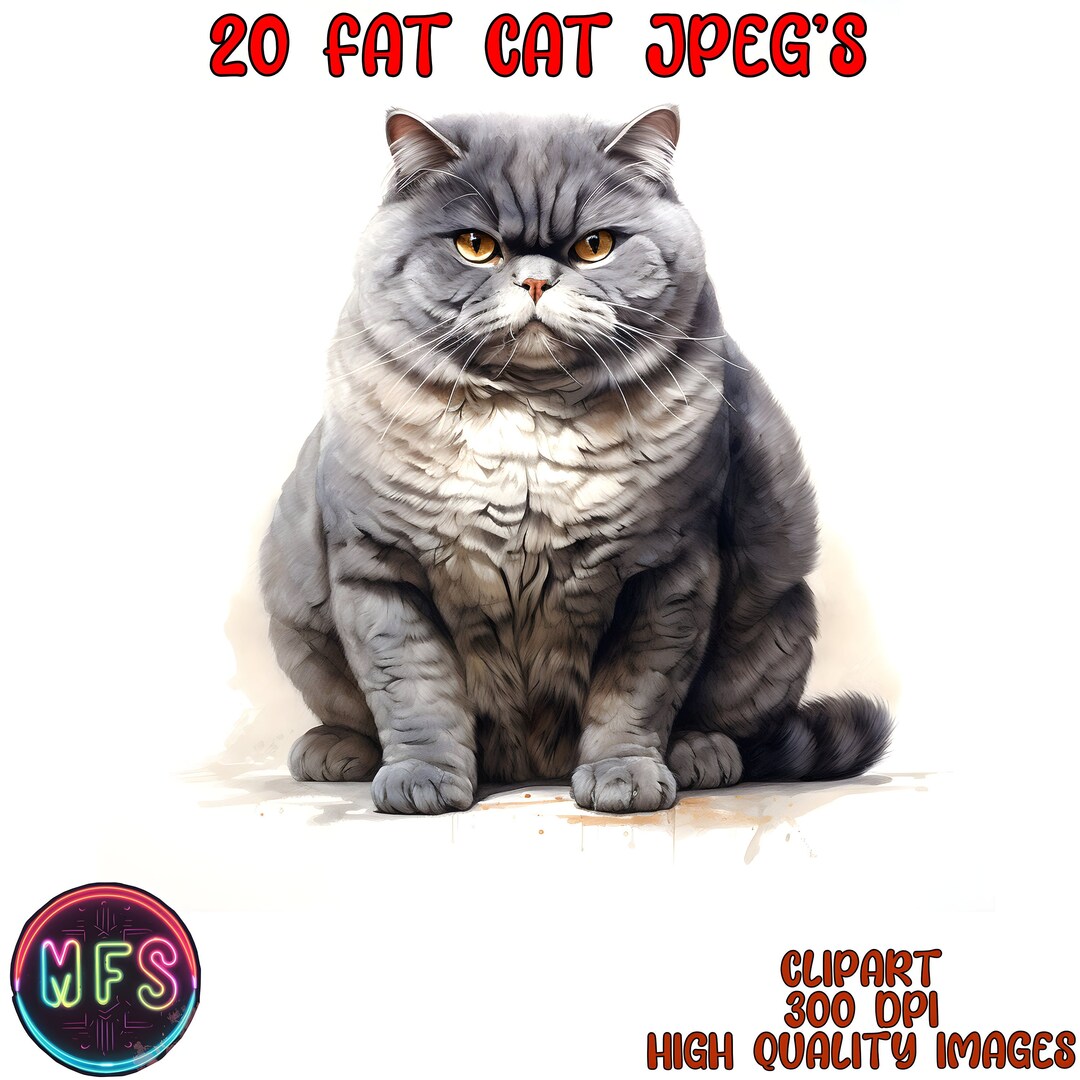 Watercolor Overweight Cats Clipart, 20 High Quality Jpgs, Instant ...