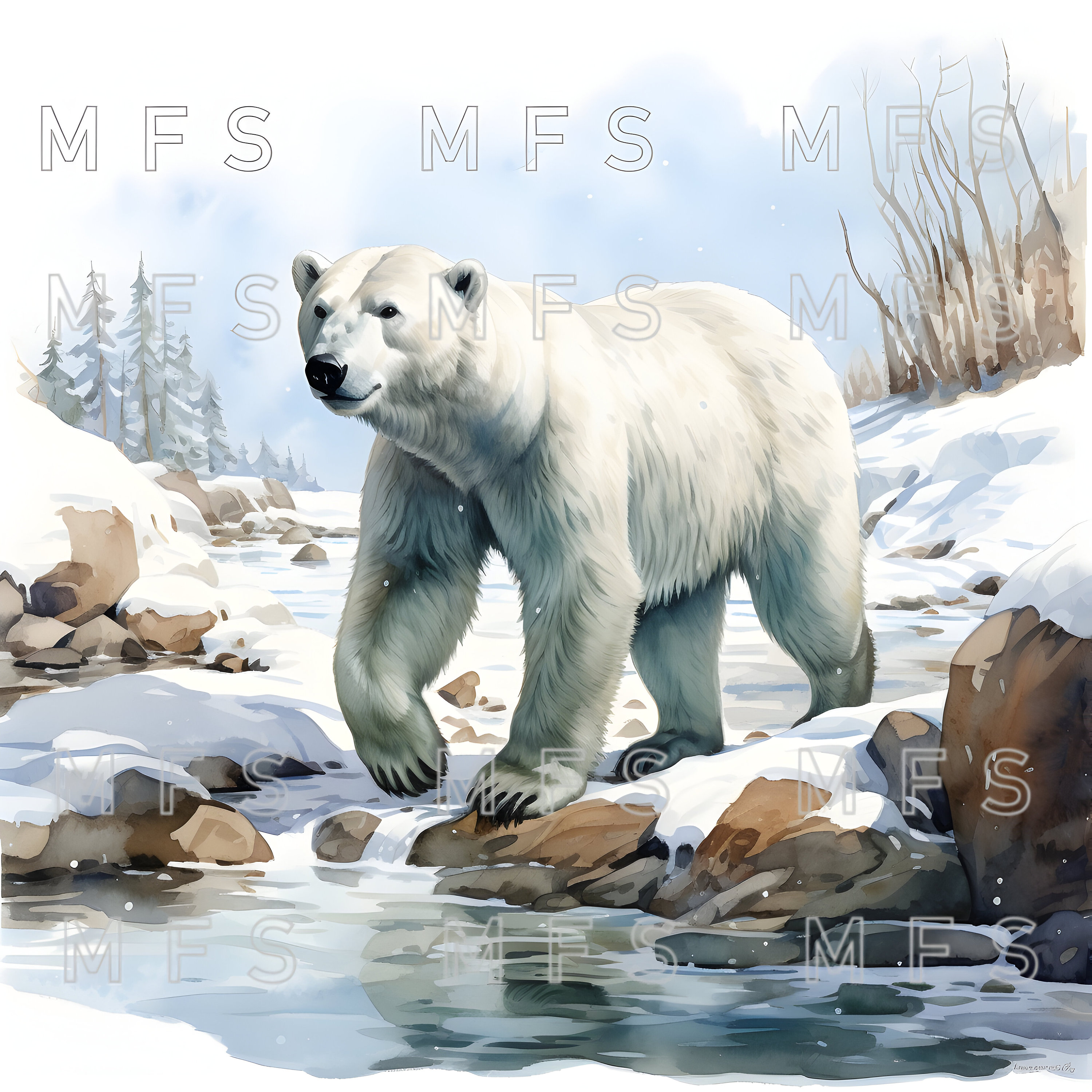 Watercolor Polar Bears Clipart, 20 High Quality Jpgs, Instant Digital ...