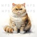 Watercolor Overweight Cats Clipart, 20 High Quality Jpgs, Instant ...