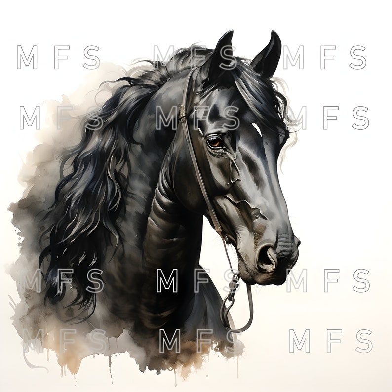 Watercolor Beautiful Black Horse Clipart, 20 High Quality Jpgs, Instant ...