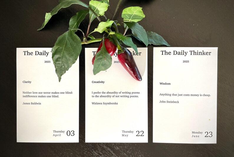 2025 Daily Thinker Quote A Day Desk Calendar Book Lover Stocking ...