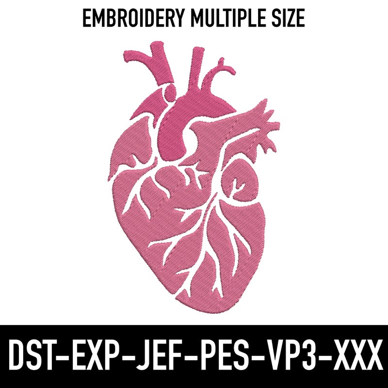 Embroidery Anatomy - Etsy