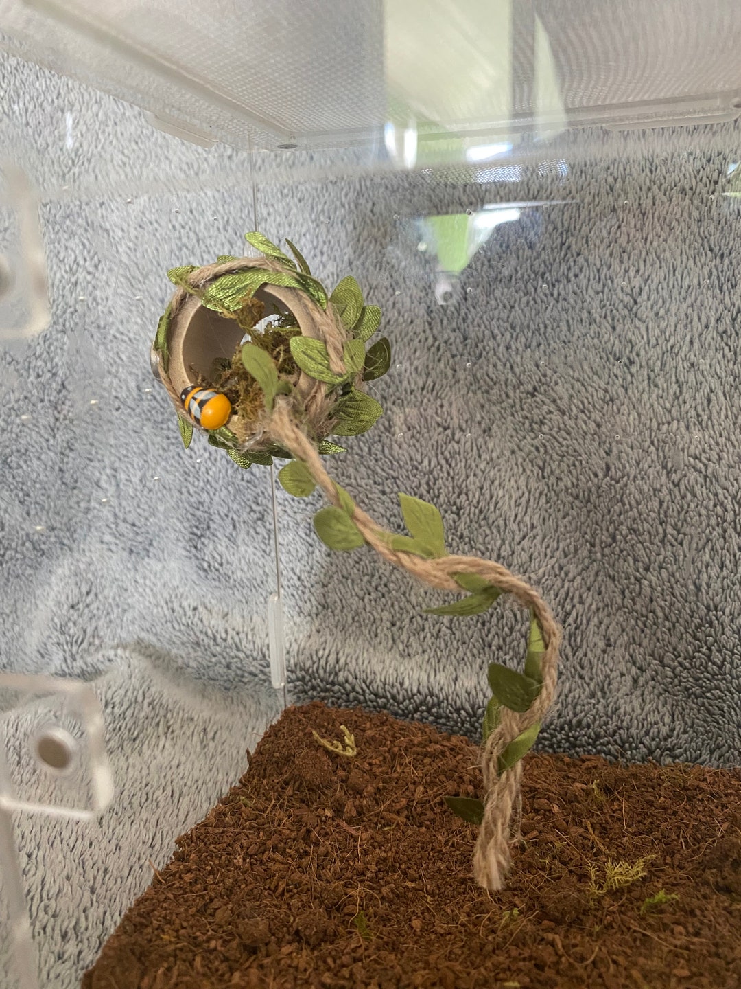 Bamboo and Twine Jumping Spider Hut - Etsy