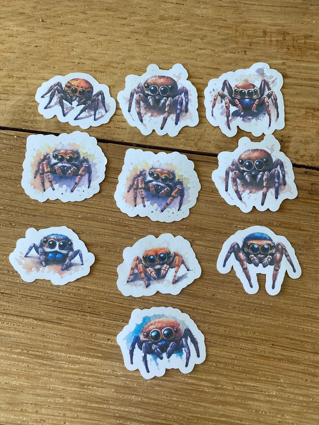 Jumping Spider Stickers 1.5” 10 per Pack - Etsy