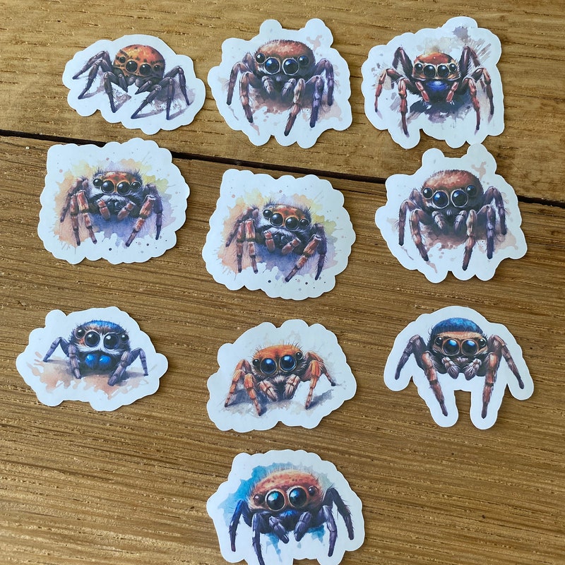 Spider Stickers - Etsy