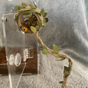 Bamboo and Twine Jumping Spider Hut - Etsy