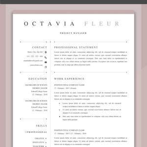 Professional Resume Template Word DOC, DOCX. CV Template Professional ...